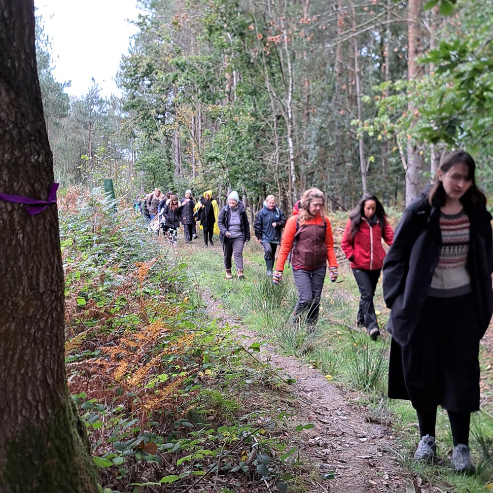 Nature-Based Practice in the NHS - Circle of Life Rediscovery CIC